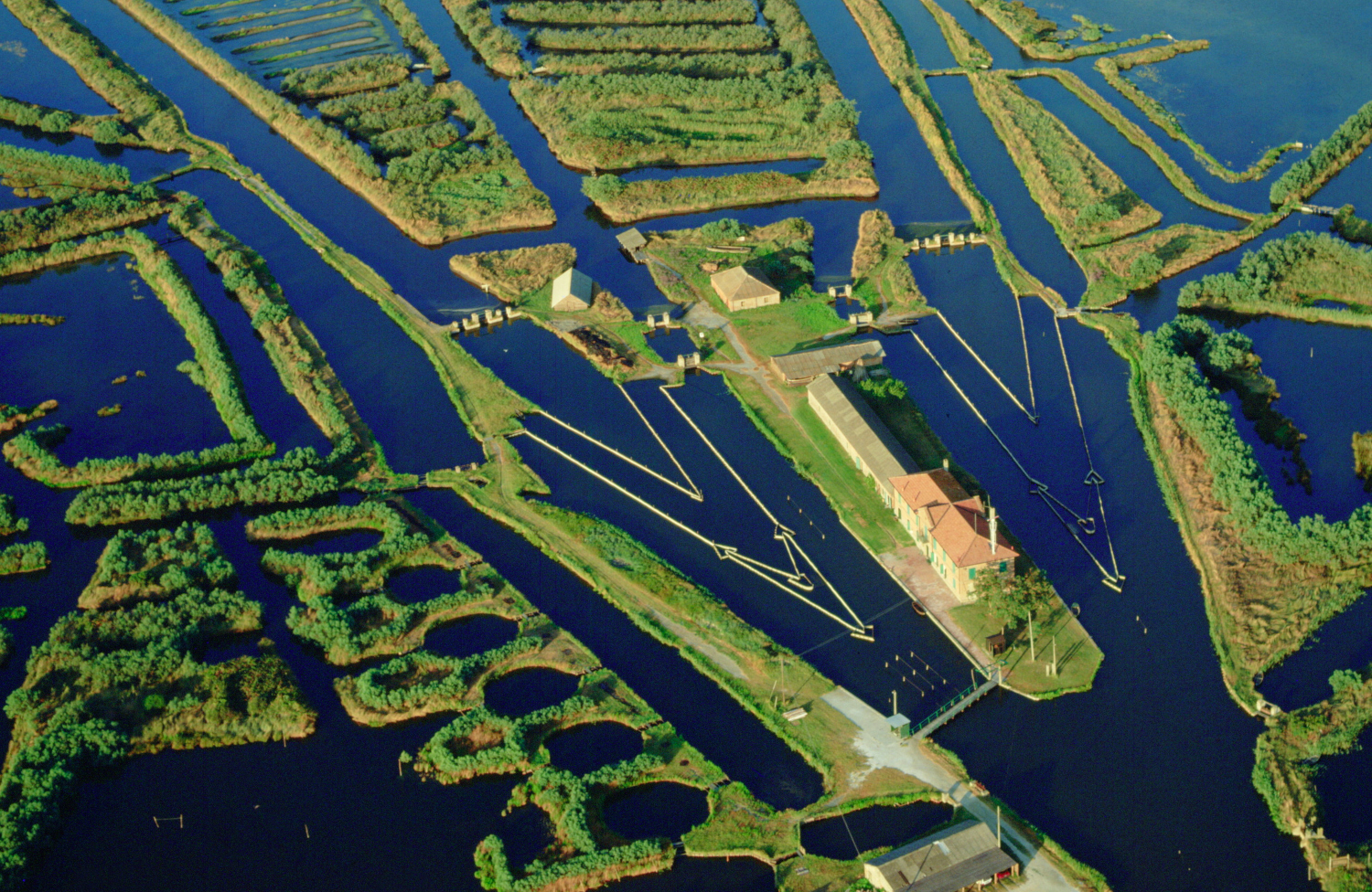 Il Parco del Delta del Po | Delta del Po Il Parco del Delta del Po | Delta del Po