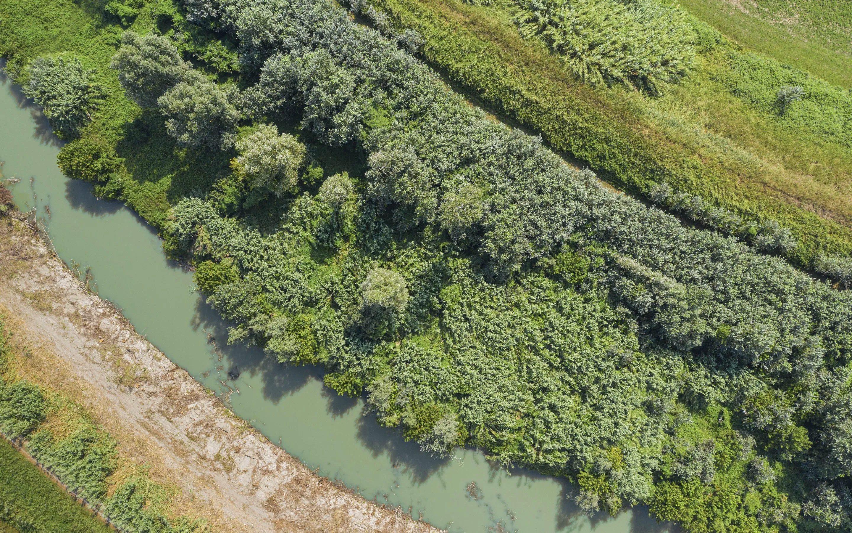 Lungo il fiume Lamone | Delta del Po
